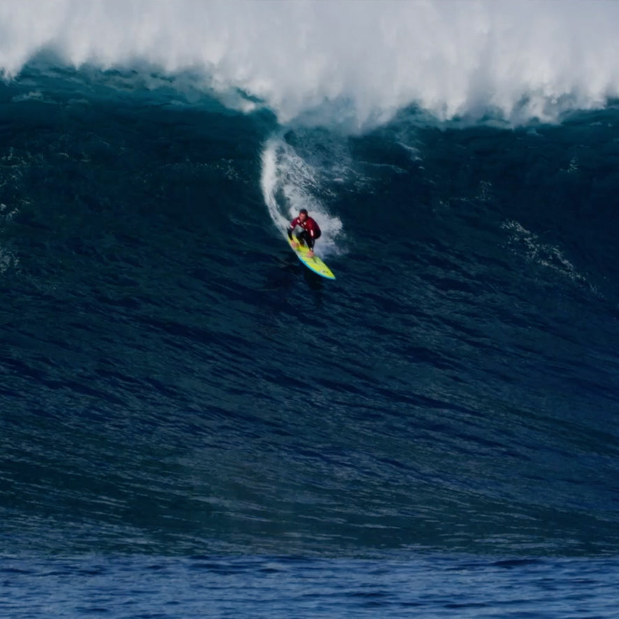 IPD Ambassador Program | Share Your Passion for Surfing – IPD International